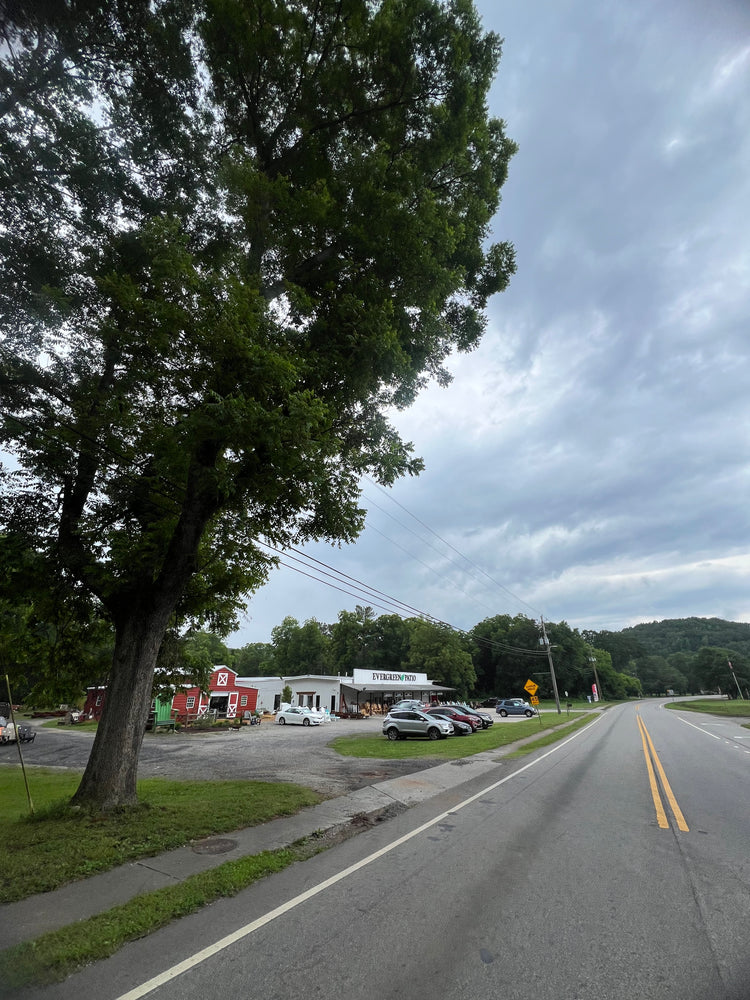 EverGreen Patio In a Nut Shell – Evergreen Patio